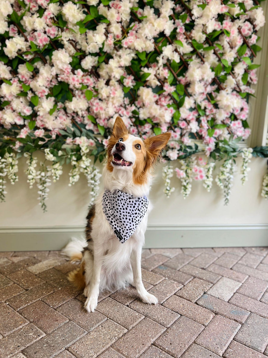 The Tiptree Marquee is Open All Winter for the First Time! – Tiptree ...